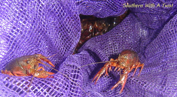 Southern With A Twist: My Trip to get the crawfish... and a Crawfish Boil!