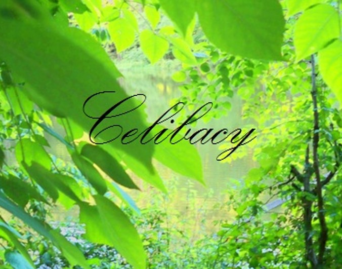 The Marriage Covenant: The Gift of Celibacy