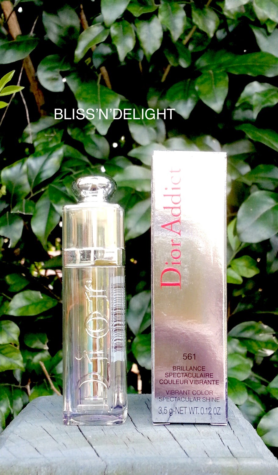 Bliss'n'Delight: Review - Dior Addict Lipstick