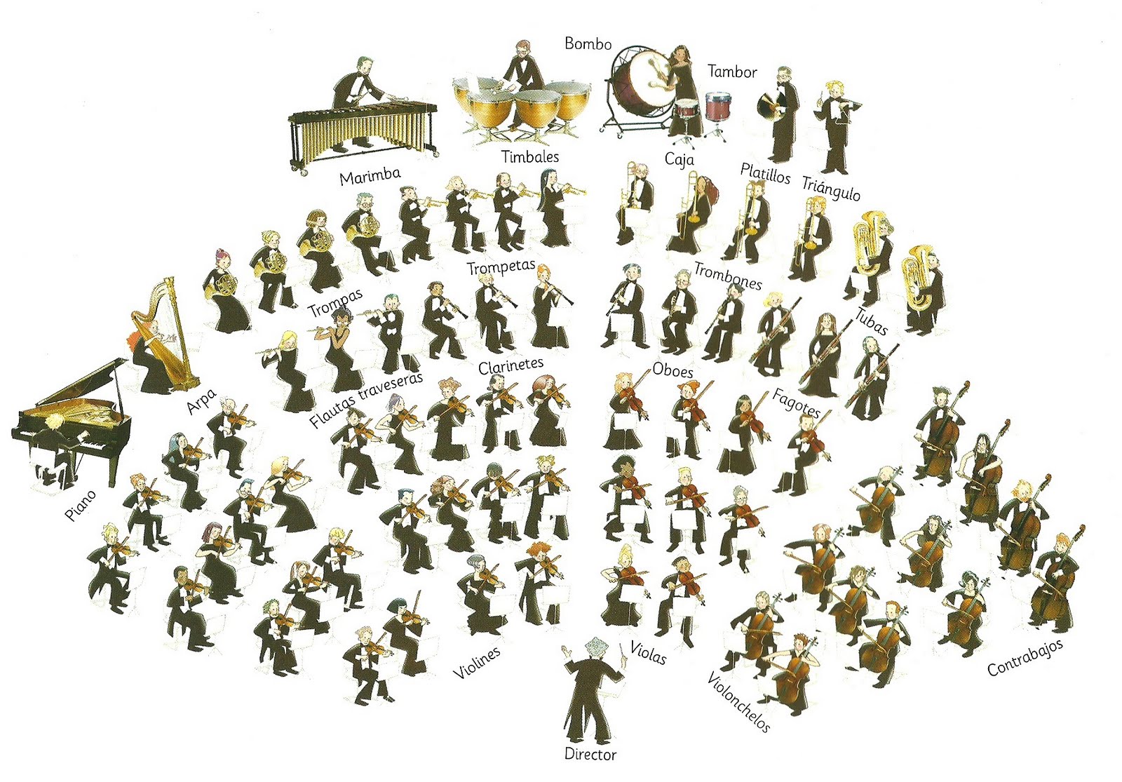 Blog de ESM : Agrupaciones Instrumentales. La Orquesta.