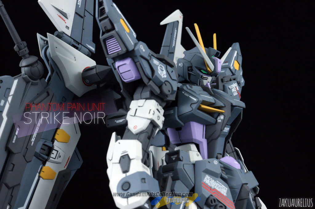 Painted Build: DM 1/100 Strike Noir