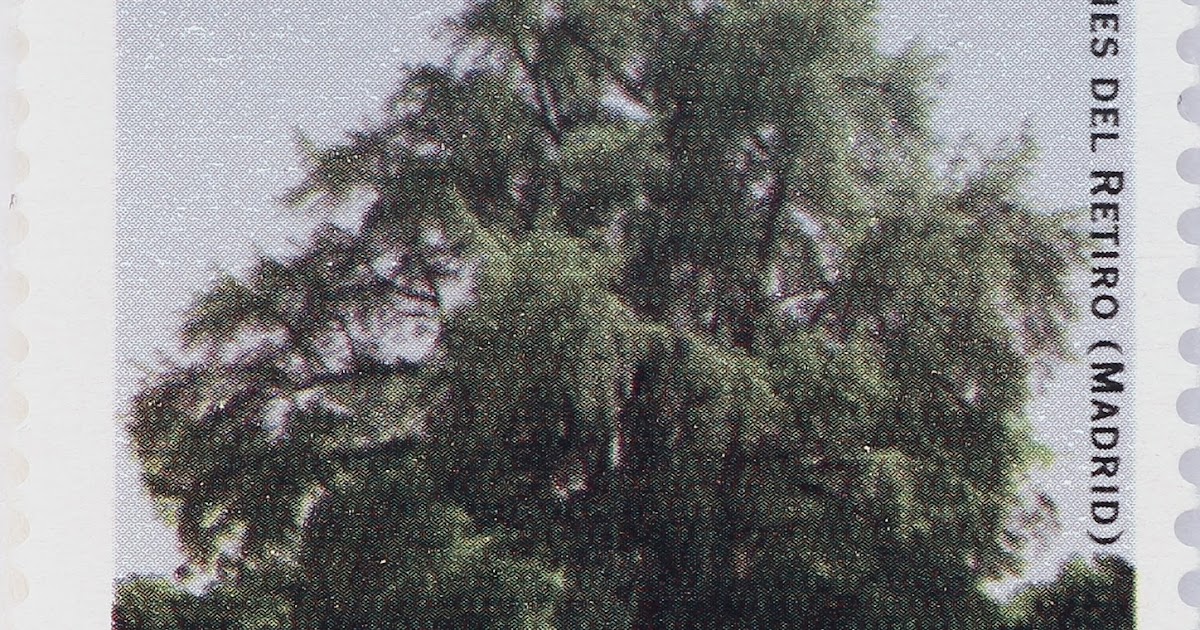 Sellos de Filatelia de España: SELLO | AHUEHUETE