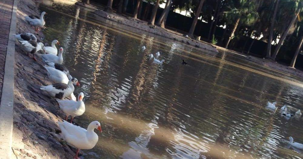 PARQUE SINALOA : FAUNA