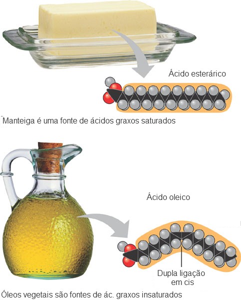 Bio Cantalice: LIPÍDIOS