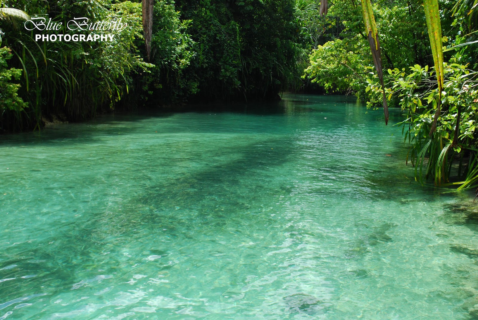Filipinas Beauty: Enchanted River, Surigao Del Sur, Philippines