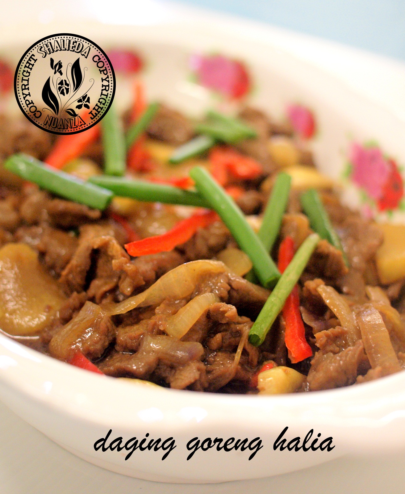 Pesona Cinta Cida de'Nuanza: Daging Goreng Halia