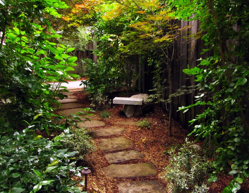 Redwood Landscape | How To Grade Landscape