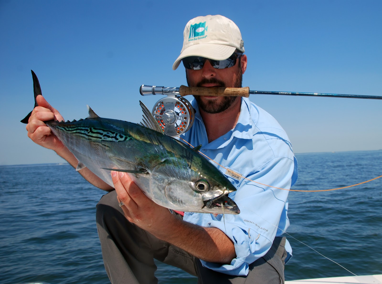 The Connecticut Yankee: Little Tunny