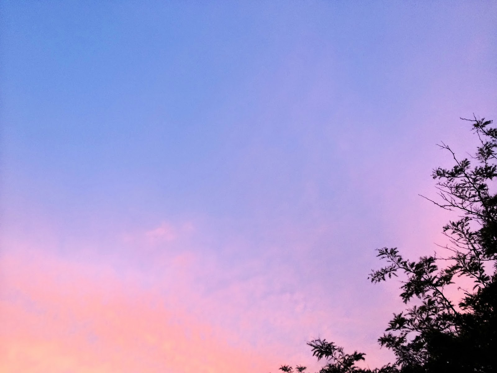 Gone To The Beach: Lavender Sky, Violet Ocean
