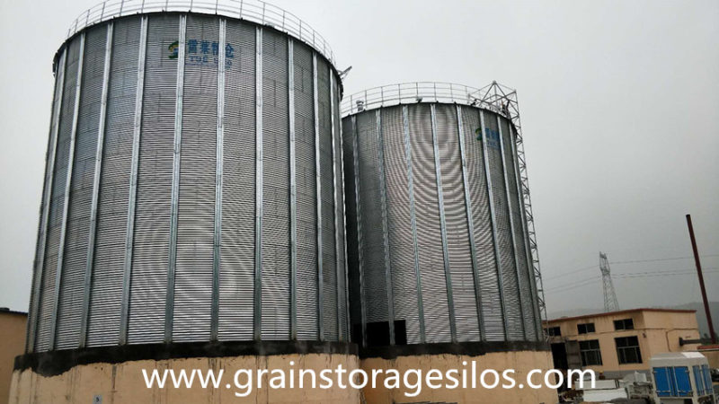 Taian Shelley Engineering Co., Ltd.: Galvanized Grain Silo Installation ...