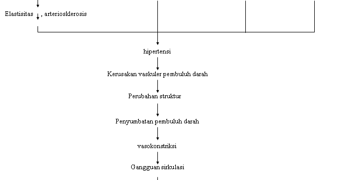 Blog Wijj: Asuhan Keperawatan Dengan Hipertensi