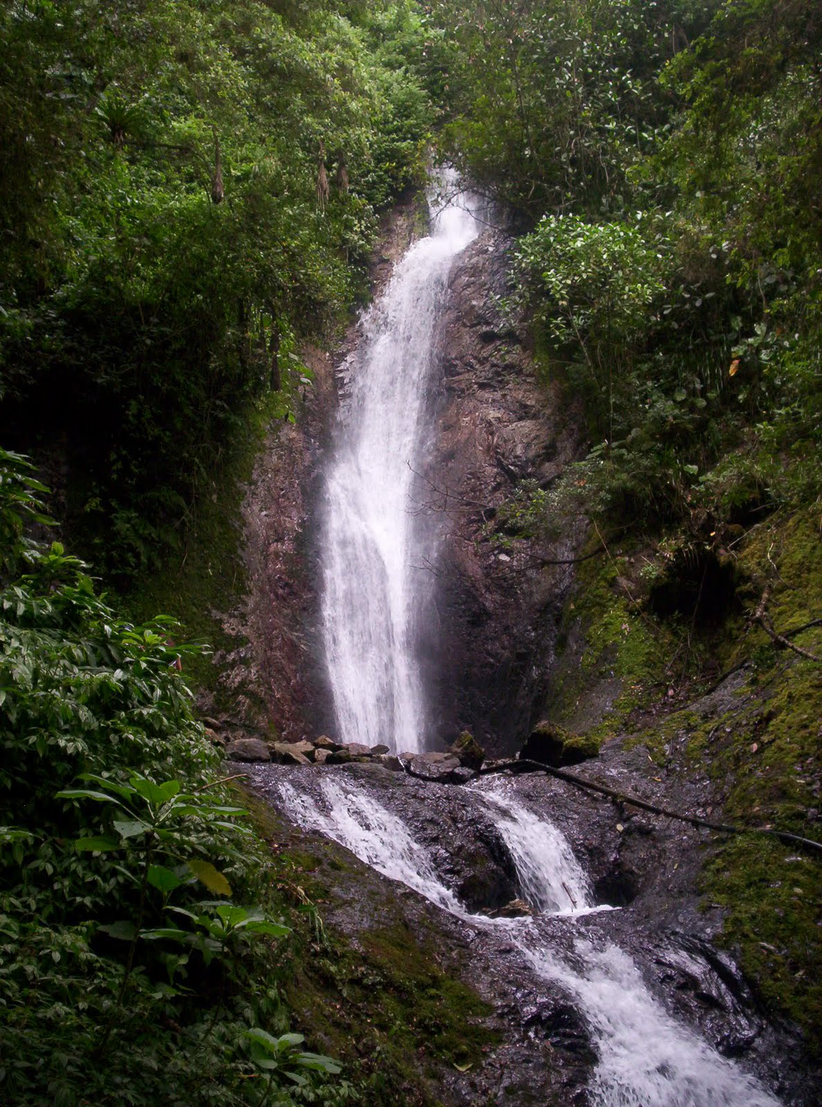 Turismo en Venezuela: VIAJE A MERIDA 2009