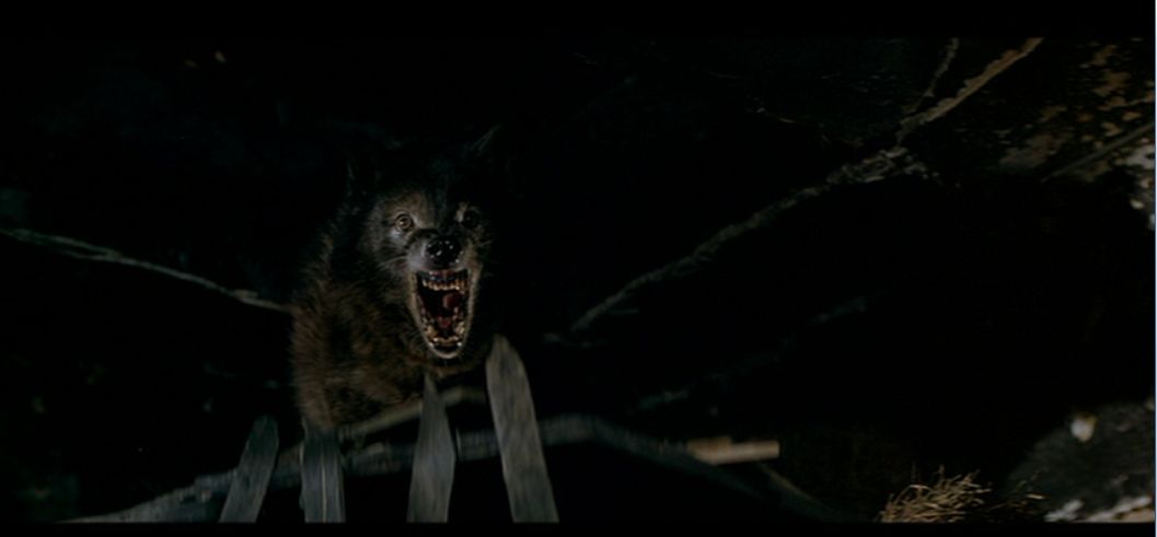 31 Days of Horror: October 15th: Wolfen (1981)