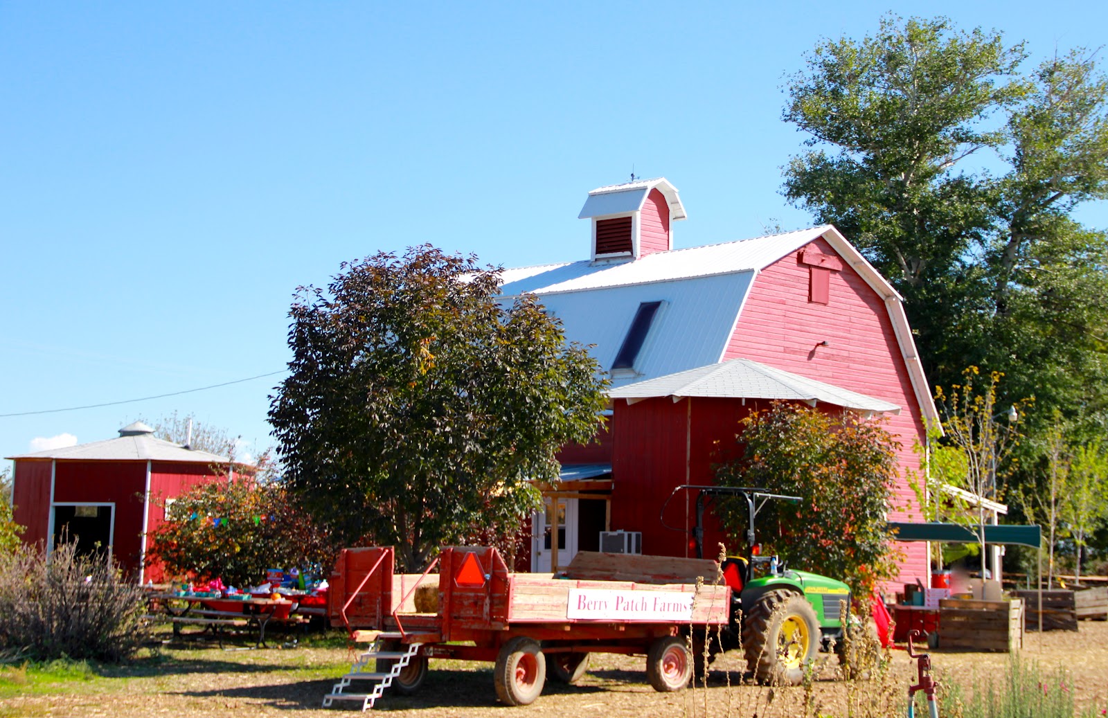 Highlands Ranch Mom: Berry Patch Farms