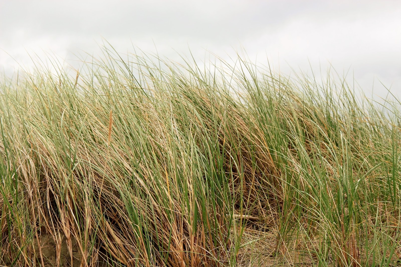 we all are dancers: Pins and Needles