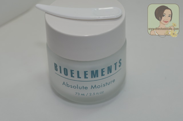 Bioelements Skincare Review: Oil Control Mattifier and Absolute ...