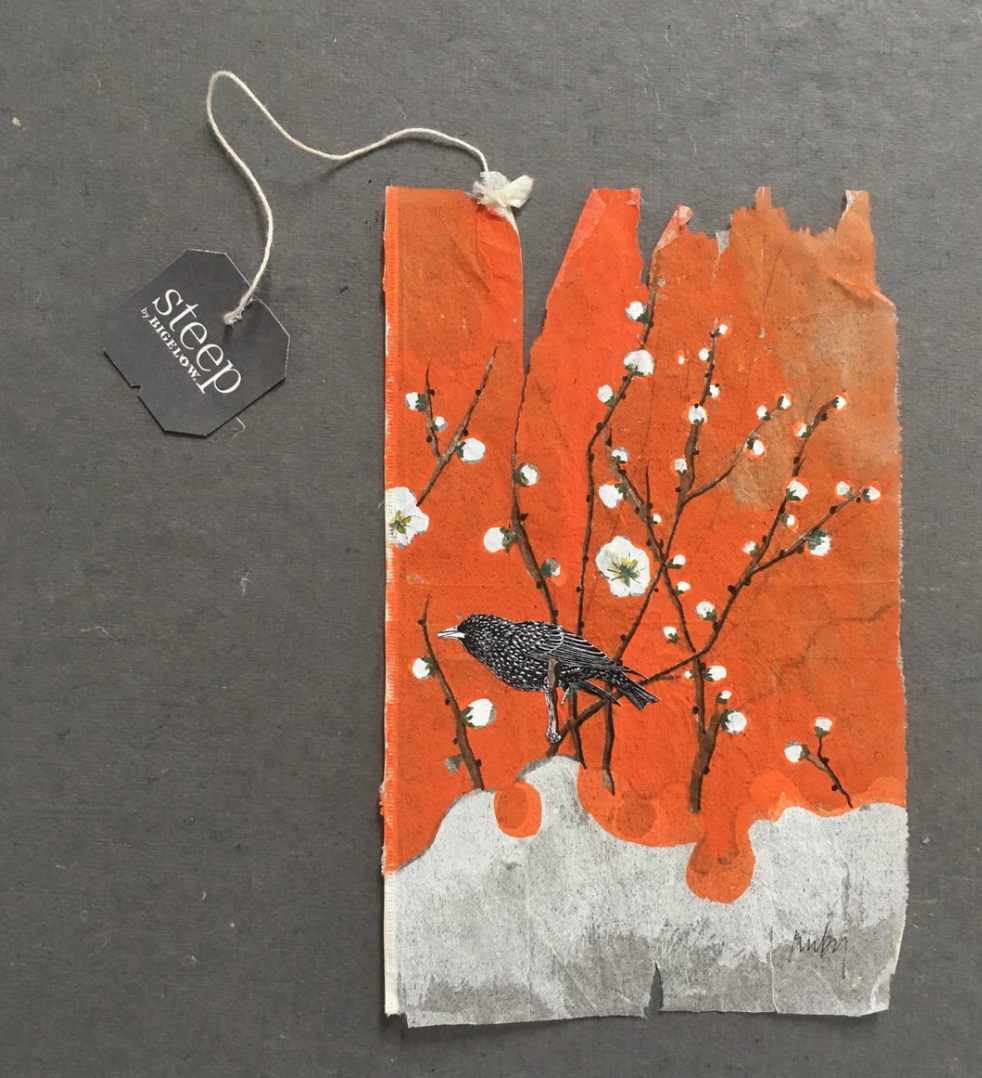 the art room plant: Ruby Silvious I