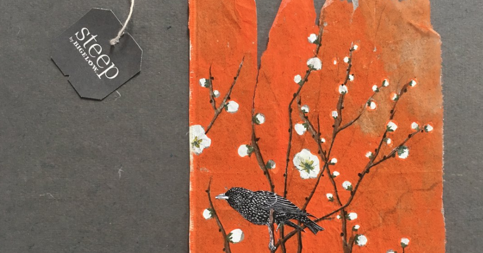 the art room plant: Ruby Silvious I