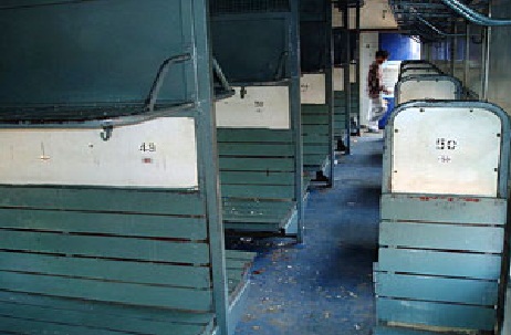 Kalpeshsinh Zala: Guide to the India Train