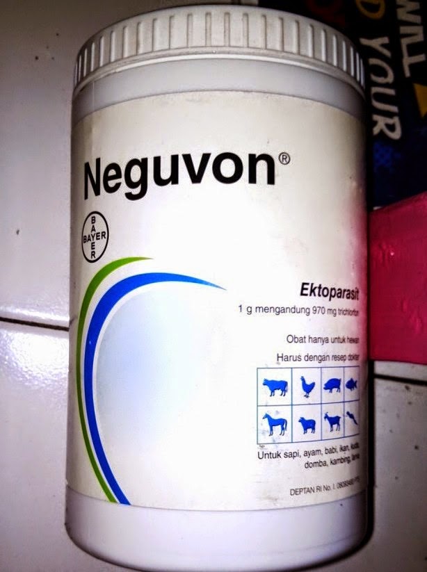 NEGUVON PEMBASMI PARASIT (KUTU,CAMPALAK,TUNGAU,LALAT) - OBAT UNTUK SAPI ...