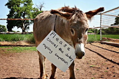 Living a Dream: A Donkey Saves the Day