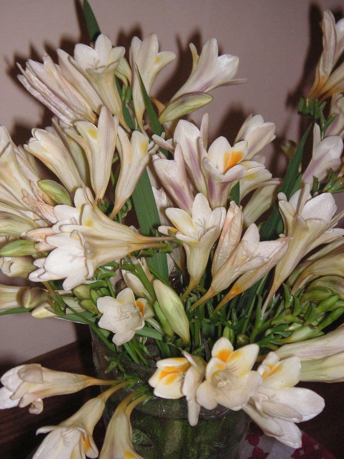 La casa de los Martínez: Nardos no cuestan dinero ...