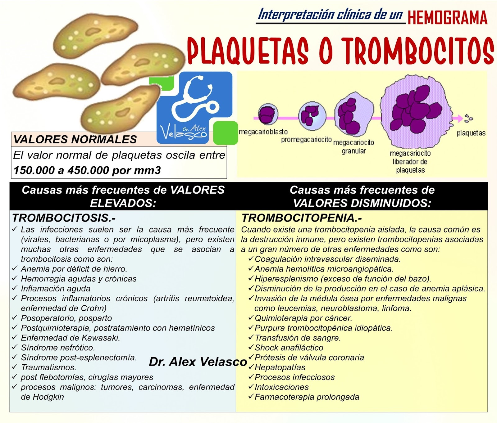 Interpretación Del Hemograma: Hemograma De Sangre Periferica – BIXGY