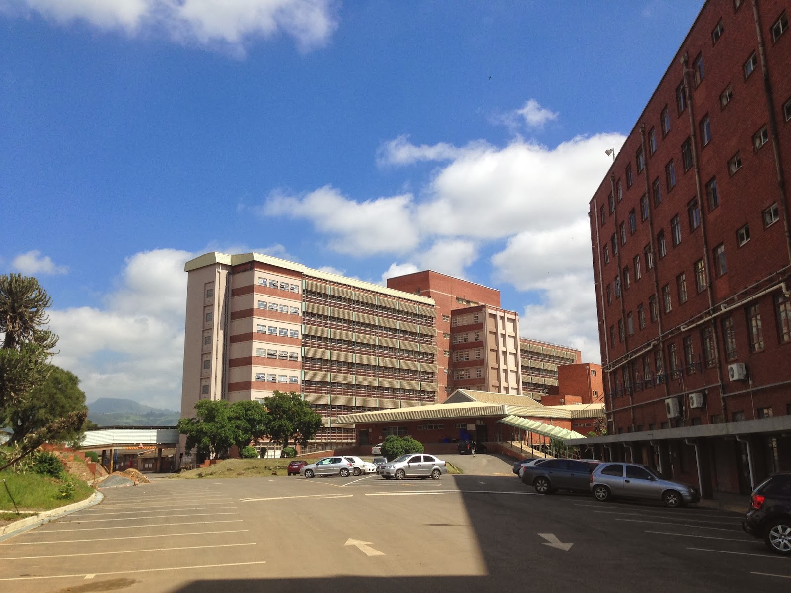 CUMC Edendale Experiences