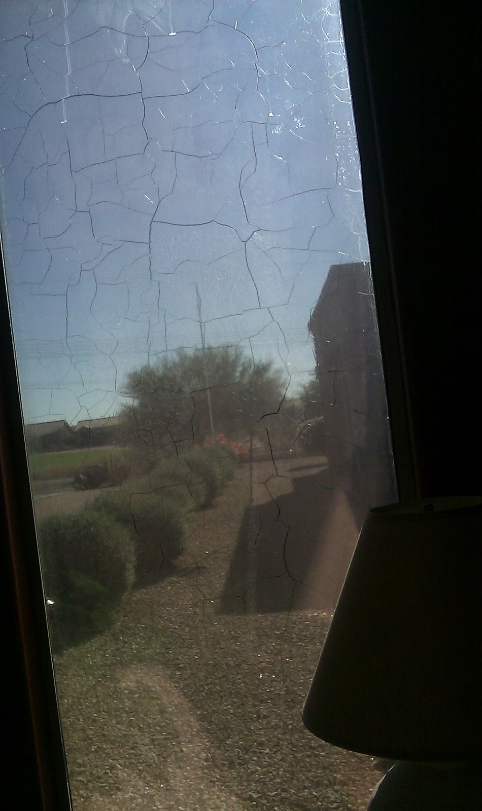 Bad 3M Prestige Bad! Don't blame the Doggie! It is how you make the ...