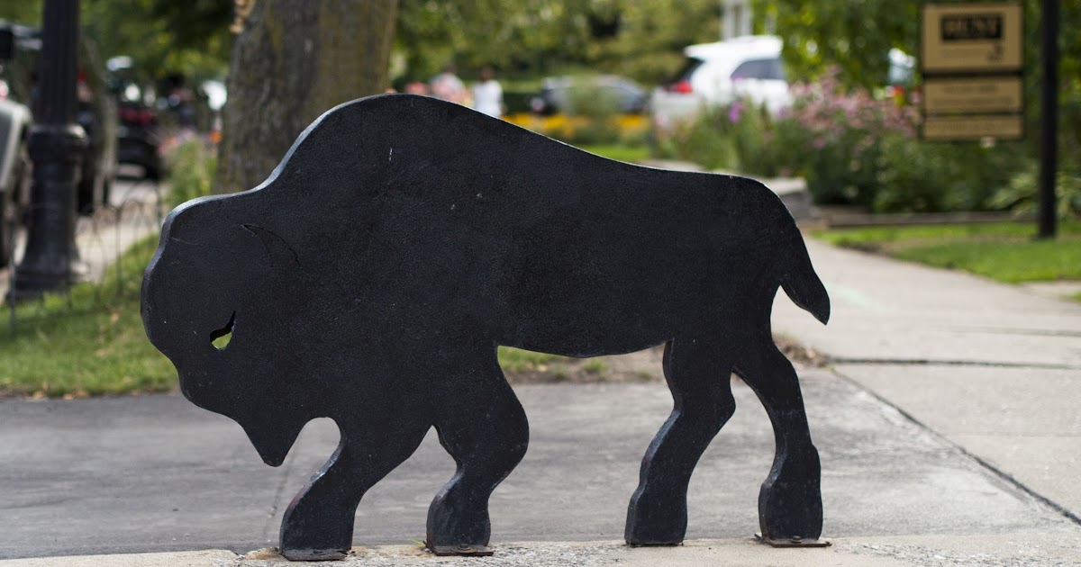 15 of the Best & Most Famous Buffalo Foods (and Drinks!) You Should Try ...