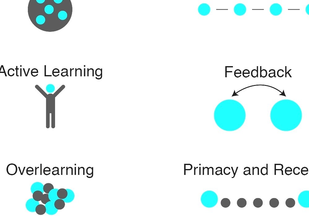 Principles Of Learning
