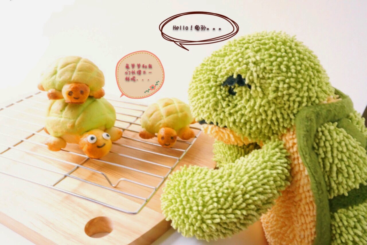 Turtle Melon Pan (Japanese Style Pineapple Bun) ~ Cash Palace