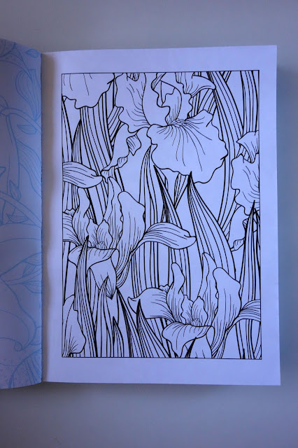 blah to TADA!: My Coloring Book