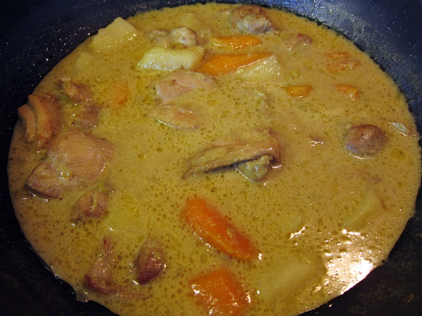 Overworked. Underfed.: Vietnamese Chicken Curry