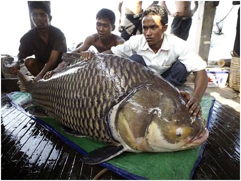 Subject of the Talk: A Heritage to Treasure (The City of Golden Friendship)