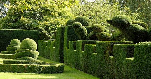 Cuore d'Italia: IL BOSSO