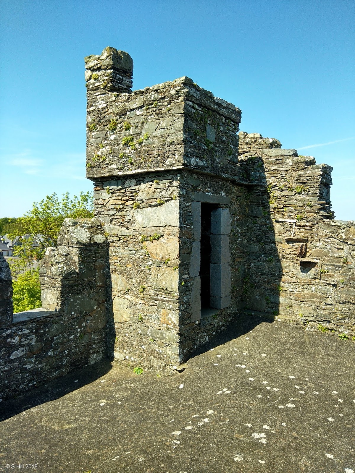 Ireland In Ruins: Termonfeckin Castle Co Louth