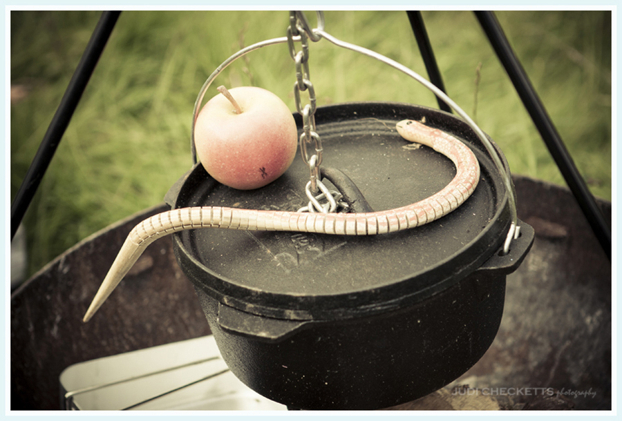 Oxford Wedding and Lifestyle photographer - JUDI CHECKETTS : Peter Pan ...