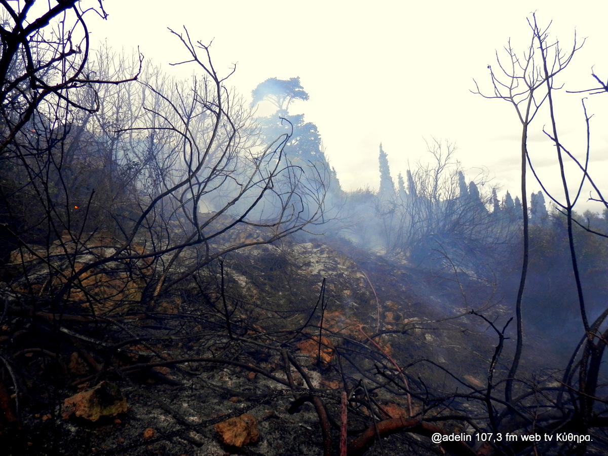 AdelinFM Kythira : ΠΥΡΚΑΓΙΑ ΣΤΟ ΚΑΤΑΧΕΙΜΩΝΟ ΣΤΗΝ ΠΕΡΙΟΧΗ ΤΩΝ ΜΗΤΑΤΩΝ