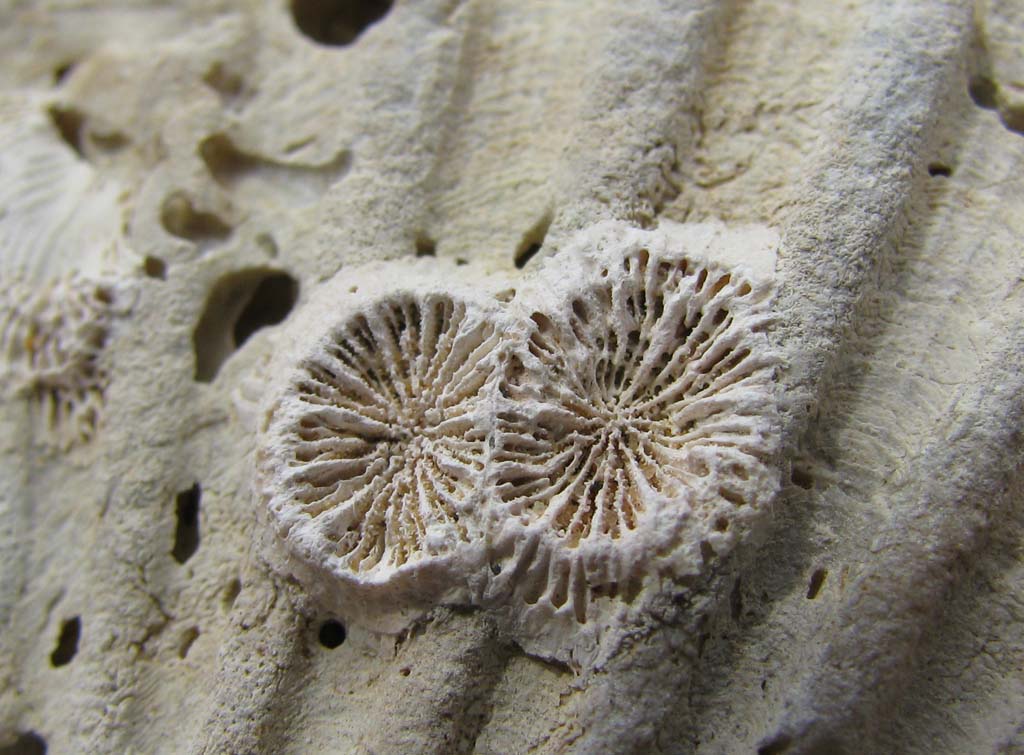 Views of the Mahantango: September 2015