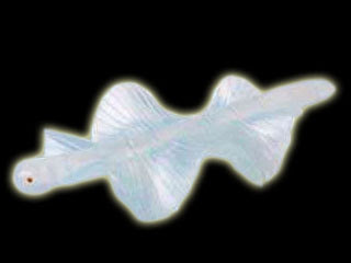 Misteri Skyfish | Permadi'