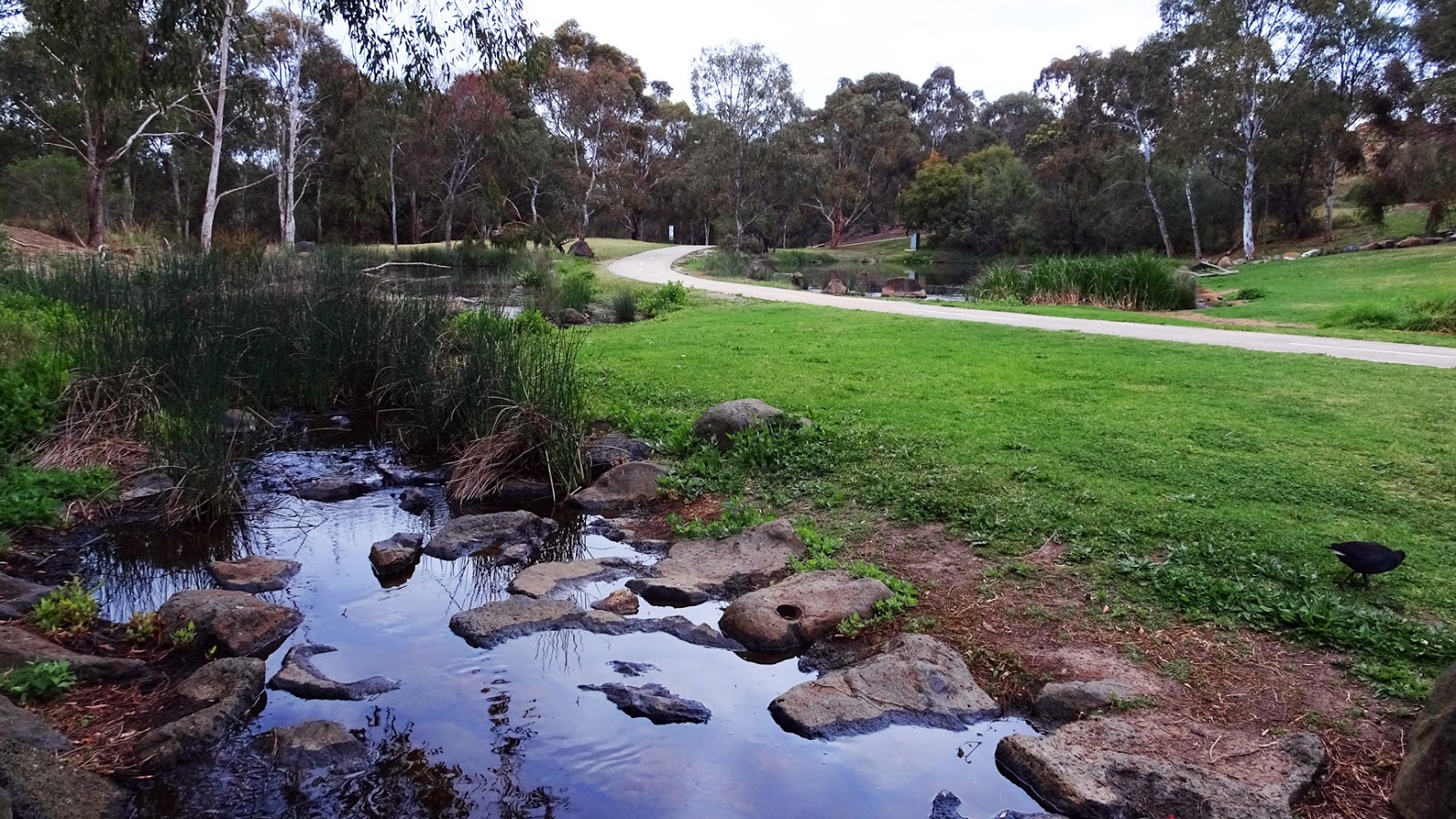 MAP: TRIGLOCHIN - WATER RIBBONS