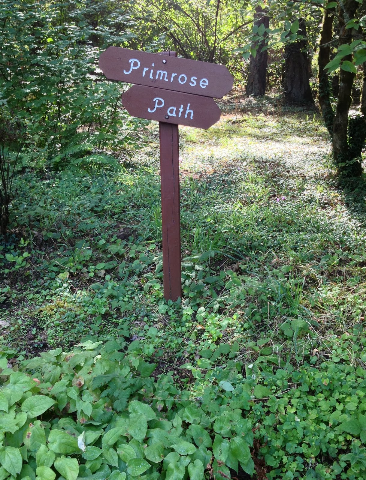 Was This Really a Sharp Idea?: Jenkins Estate & Fanno Farmhouse