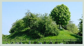 Public Transport Experience: It's Groovy at Groby