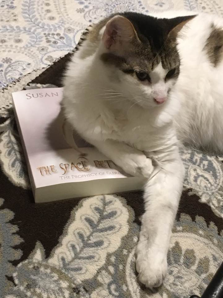 Diana L. Conces: On the Dubious Character of Cats