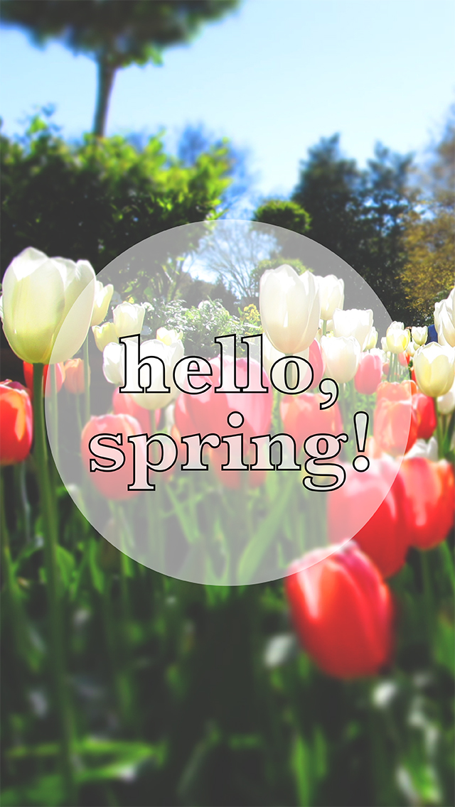 Hello Spring Wallpaper Hd