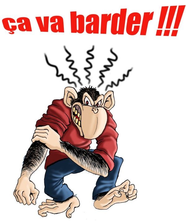 LE COQ PICORE: EXPRESSION: "ÇA VA BARDER"