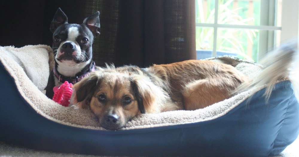 One Child Left Behind