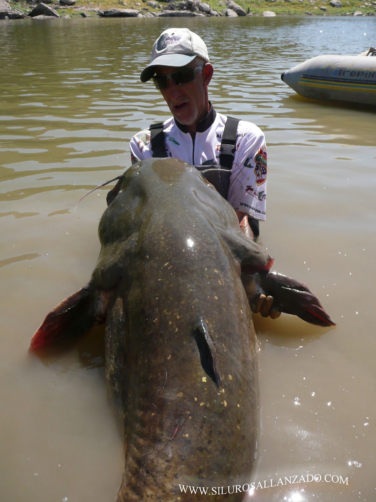 GUIA DE PESCA DE SILUROS AL LANCE (SPINNING) EN EL RÍO EBRO Y ...