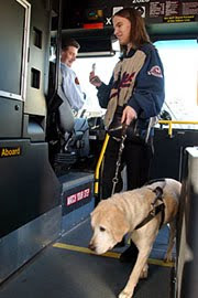 Ability Chicago Info Blog : Service Animals for People with ...